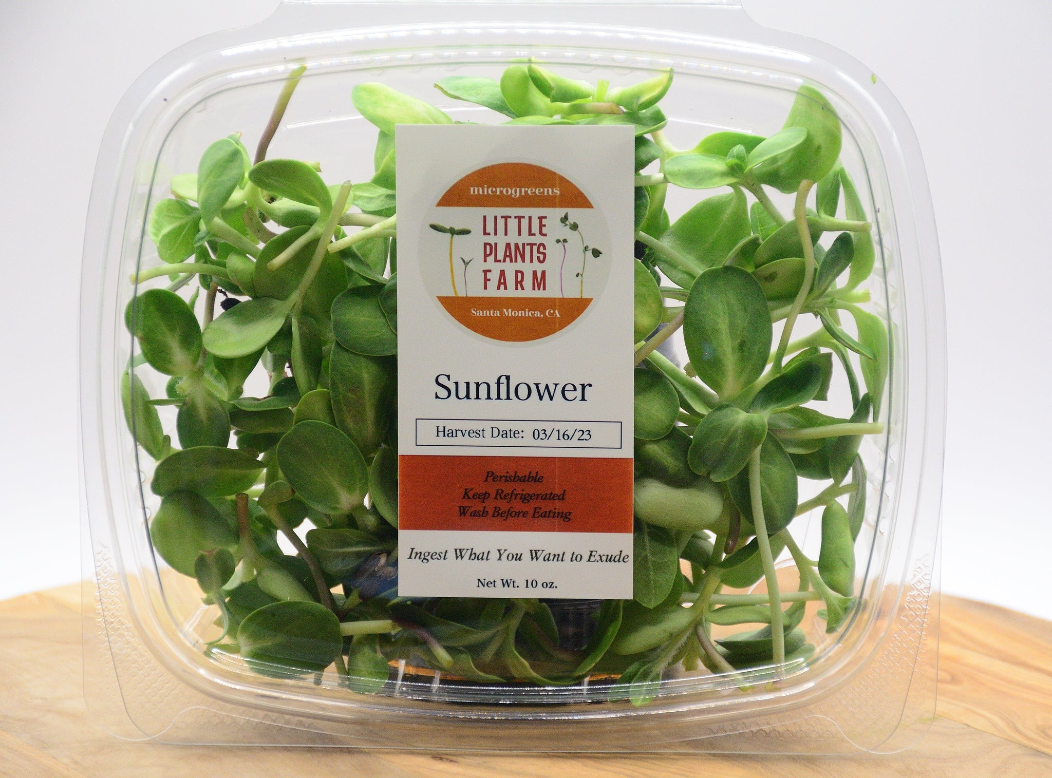 Sunflower Microgreens Clamshell – Little Plants Farm